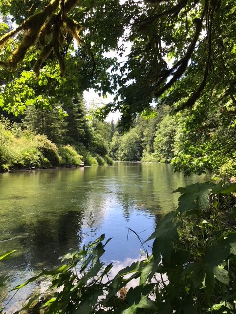 Hoko River - All-Waters
