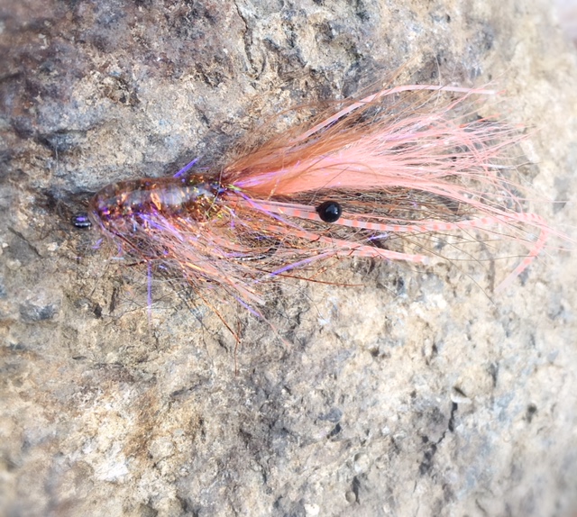 Shrimp Flies- Sea Run Cutthroat- All-Waters Fly Fishing