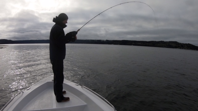 Chum Fry Season Is On! - All-Waters